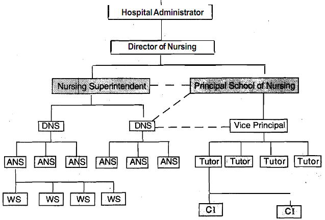 Nursing Org Chart