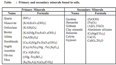 Name the primary and secondary minerals found in soils, Biology
