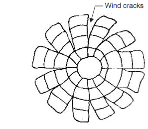 Defects In Timber Due To Natural Forces, Civil Engineering, Assignment Help