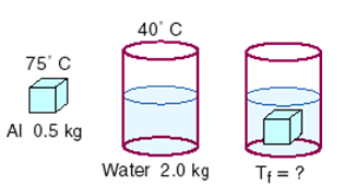 Explain the thermal equilibrium, Physics