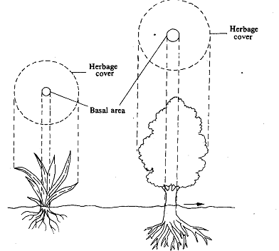 Cover (area occupied) - quantitative characters, Biology