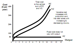 Variable and total cost curve , Microeconomics